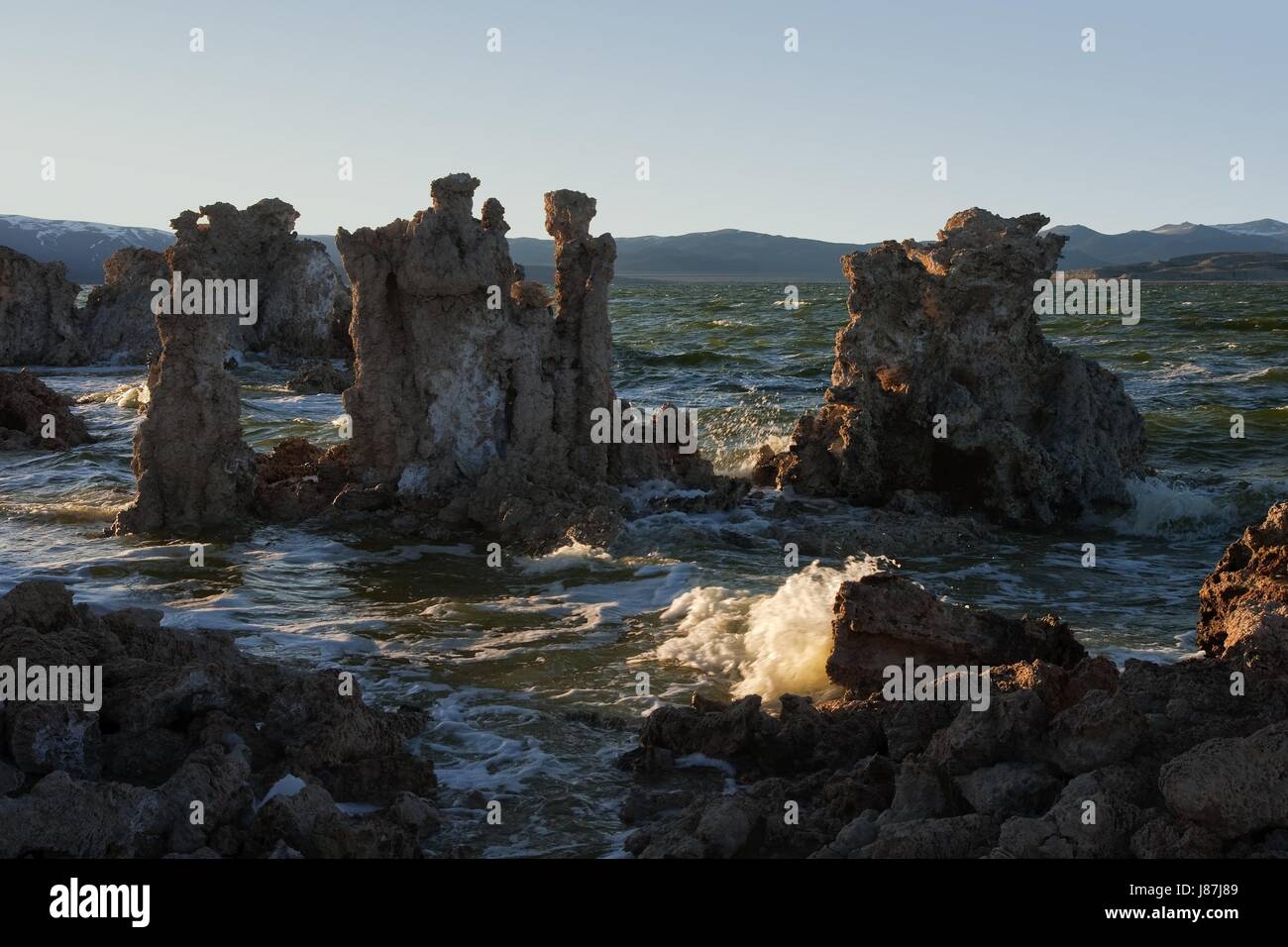 conservation of nature, usa, california, salt lake, tufa, ecosystem ...