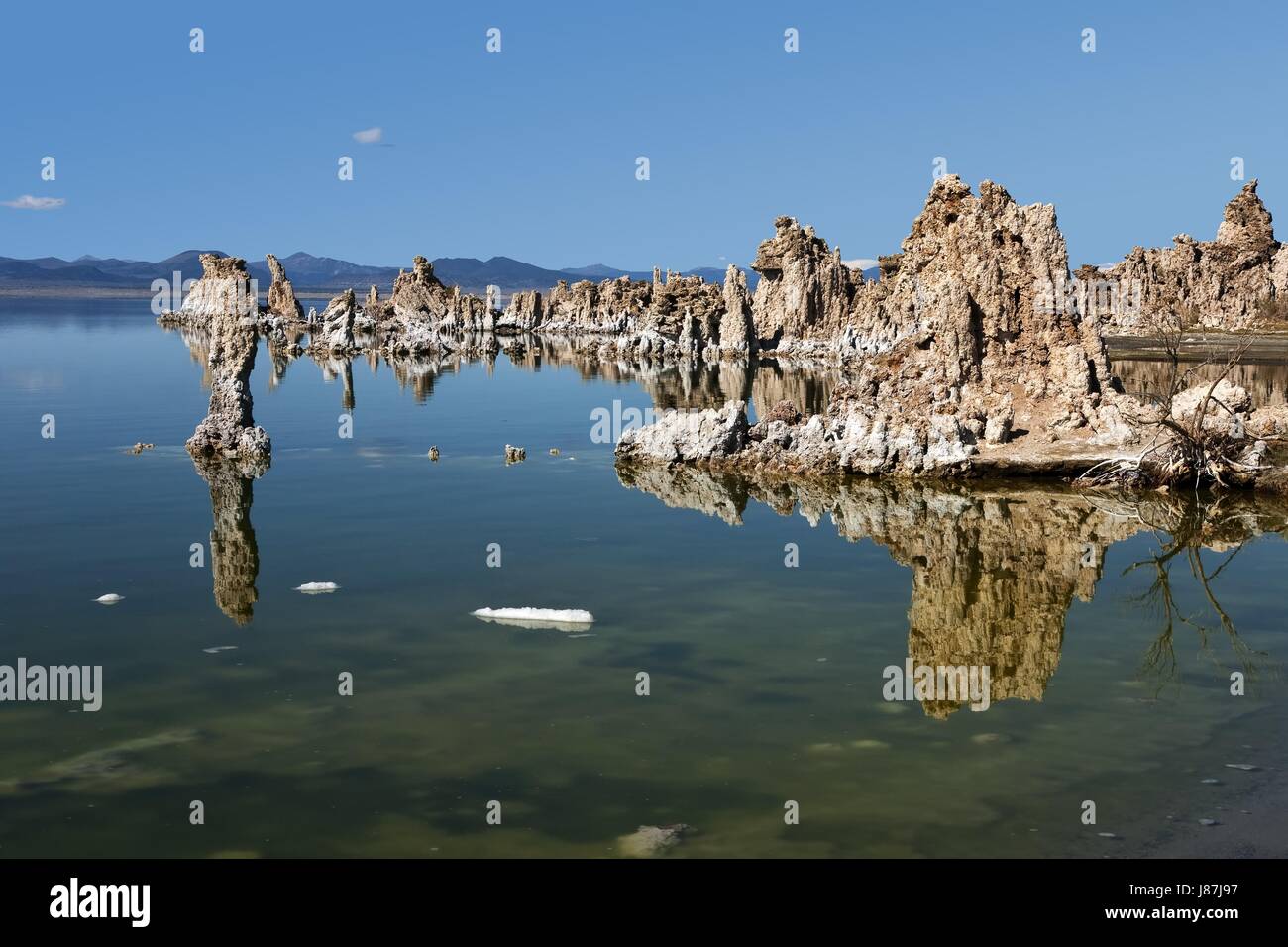 conservation of nature, usa, california, salt lake, tufa, ecosystem ...