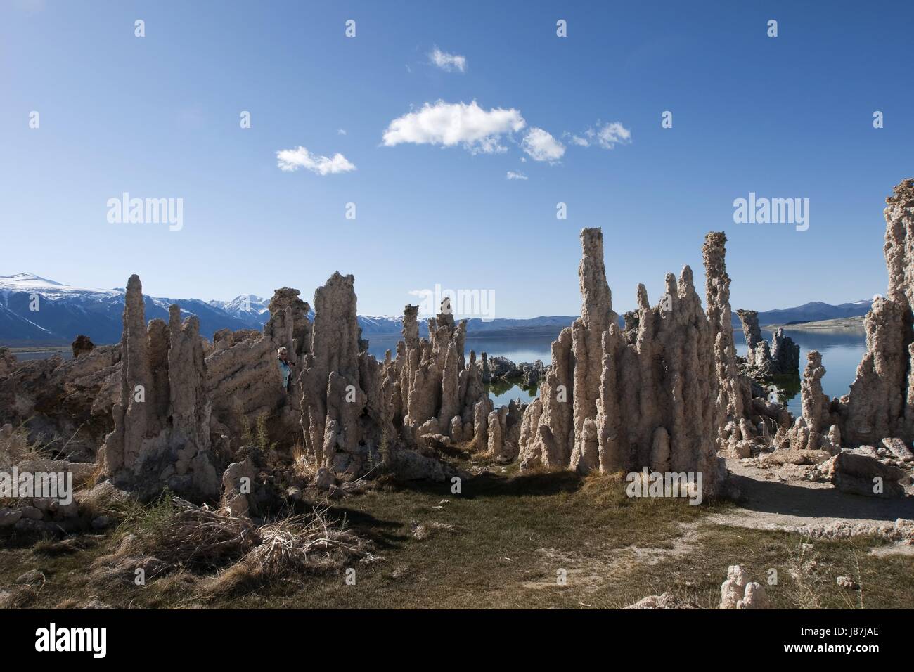conservation of nature, usa, california, salt lake, tufa, ecosystem ...