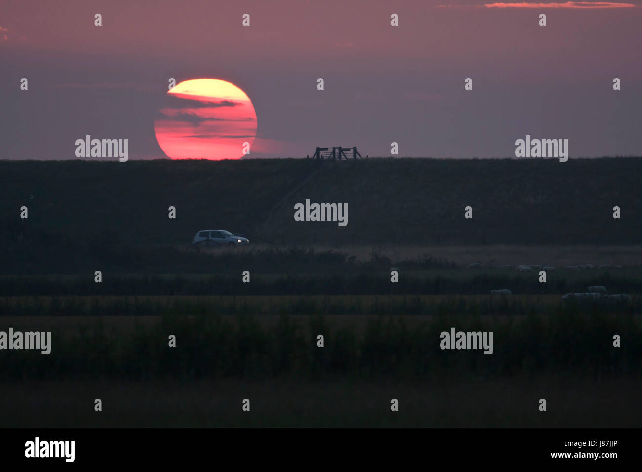 sunrise, car, automobile, vehicle, means of travel, motor vehicle ...