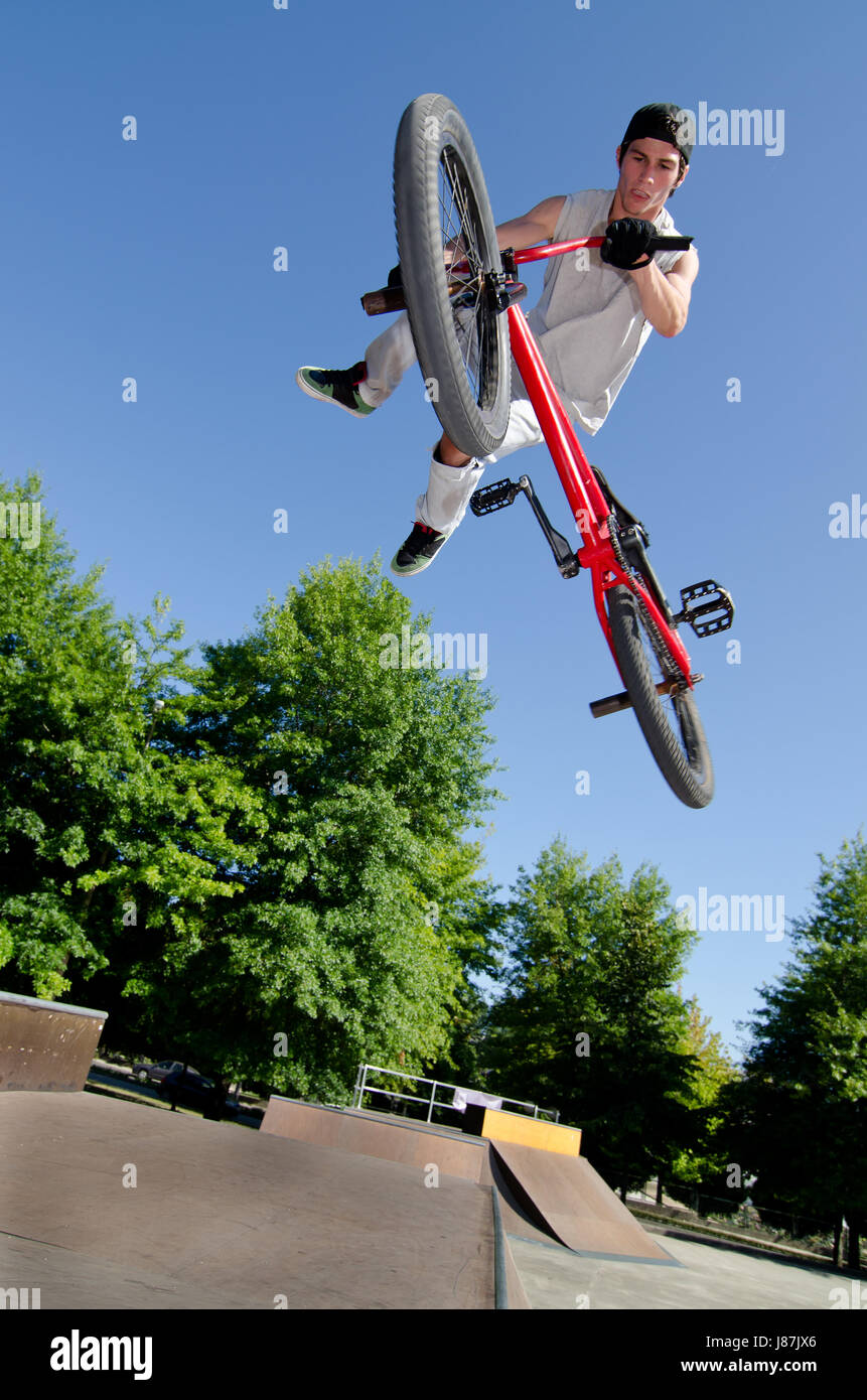 sport, sports, tree, trees, green, wood, male, masculine, summer ...