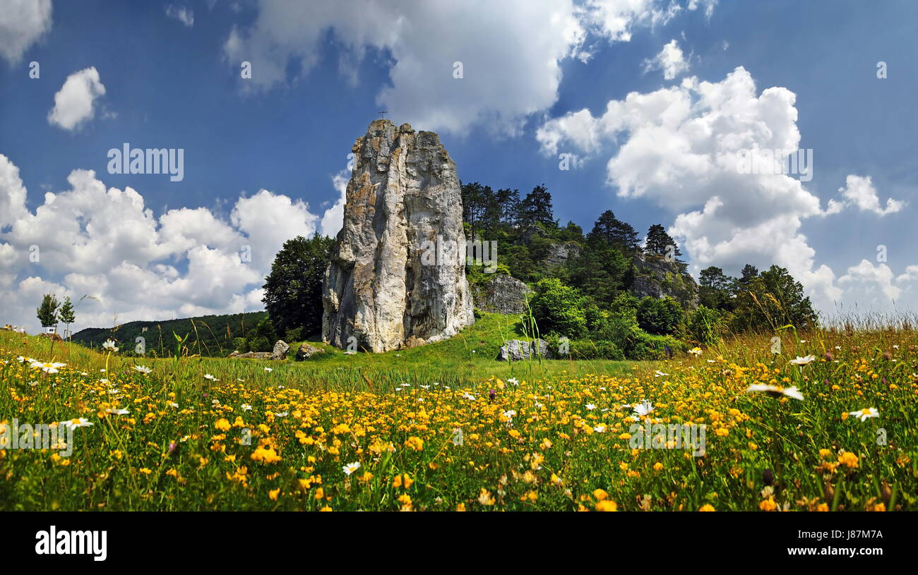 spring, rise, climb, climbing, ascend, uphill, tread, clamber, meadow ...