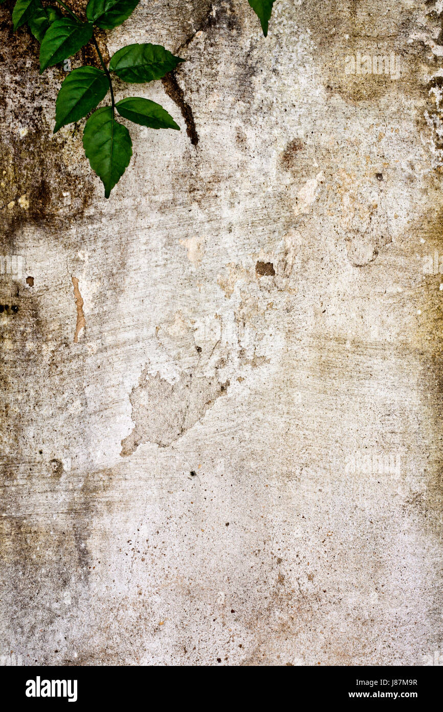 antique, rough, vintage, concrete, wall, broken, decay, style of ...