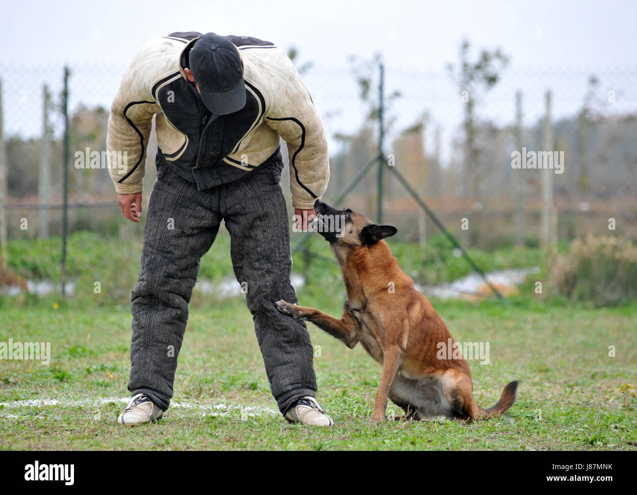Mechelar hi-res stock photography and images - Alamy