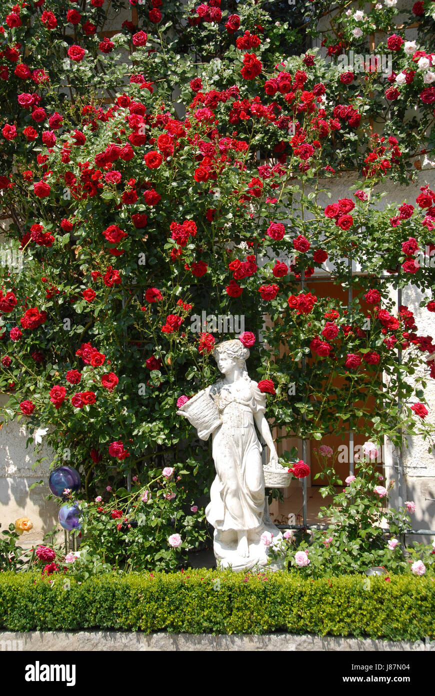 red roses with woman statue Stock Photo - Alamy
