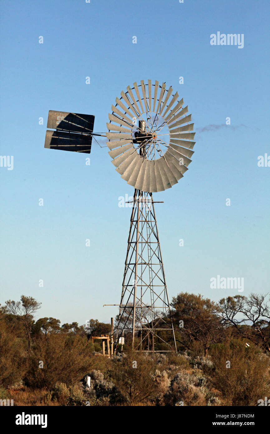 Pinwheel rose hi-res stock photography and images - Alamy