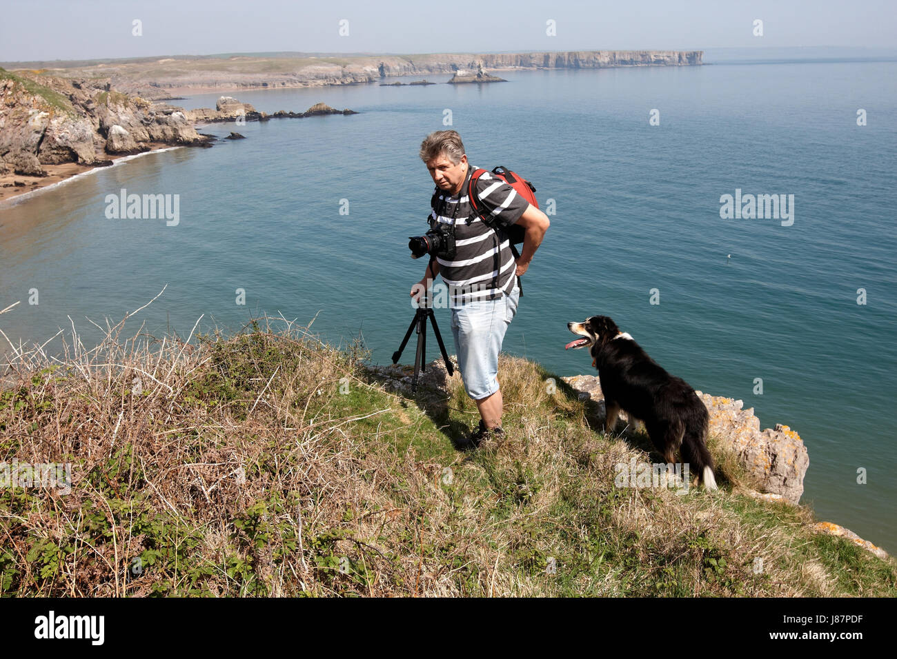 pet, salt water, sea, ocean, water, man, animal, male, masculine, dog ...