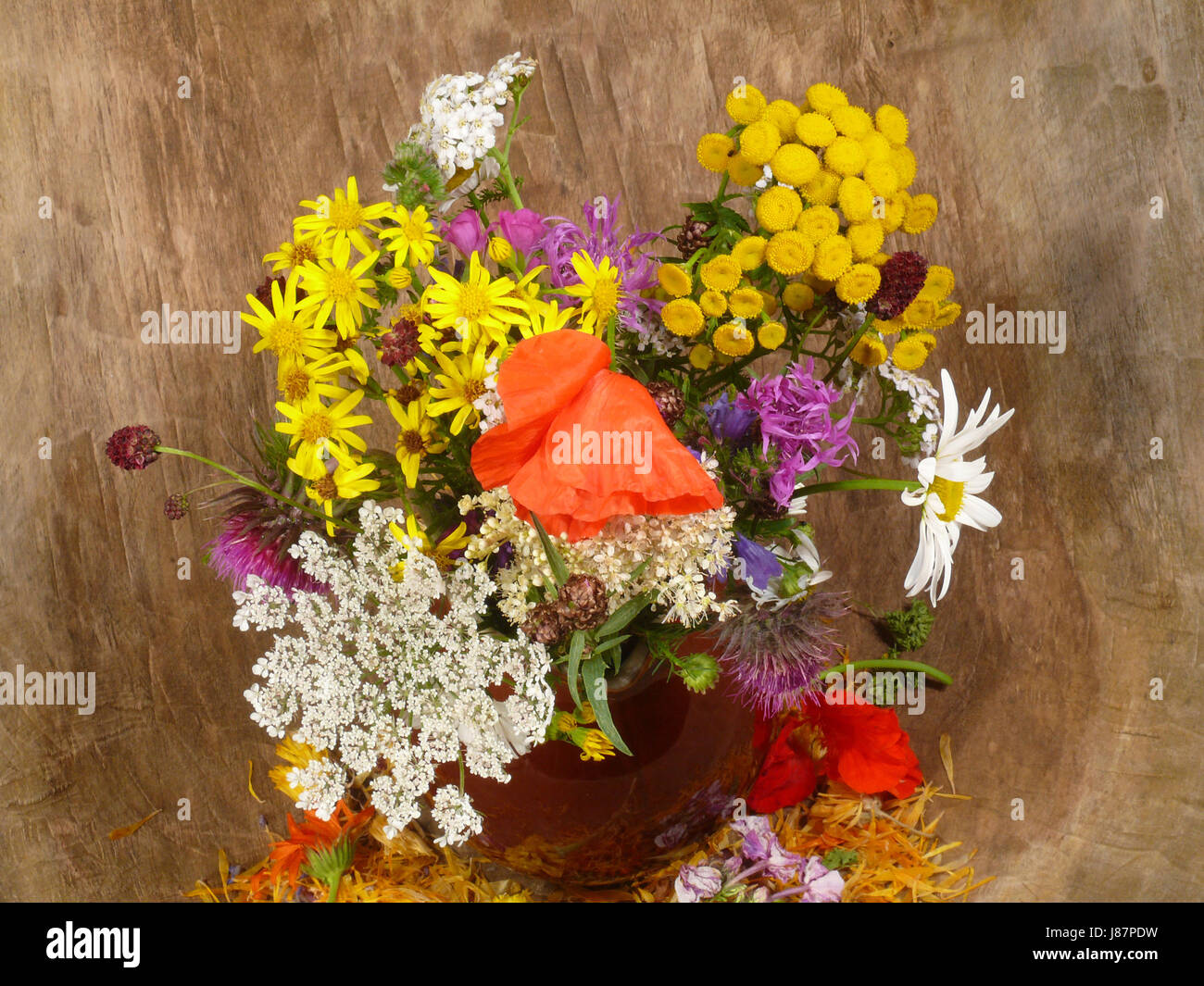 flower selection by the wayside Stock Photo - Alamy