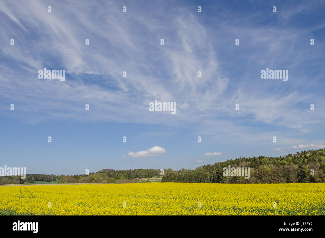 Cloud classification hi-res stock photography and images - Alamy
