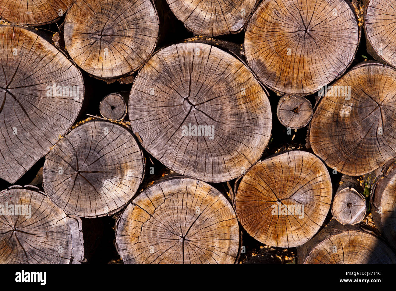 Wooden cut texture Stock Photo - Alamy