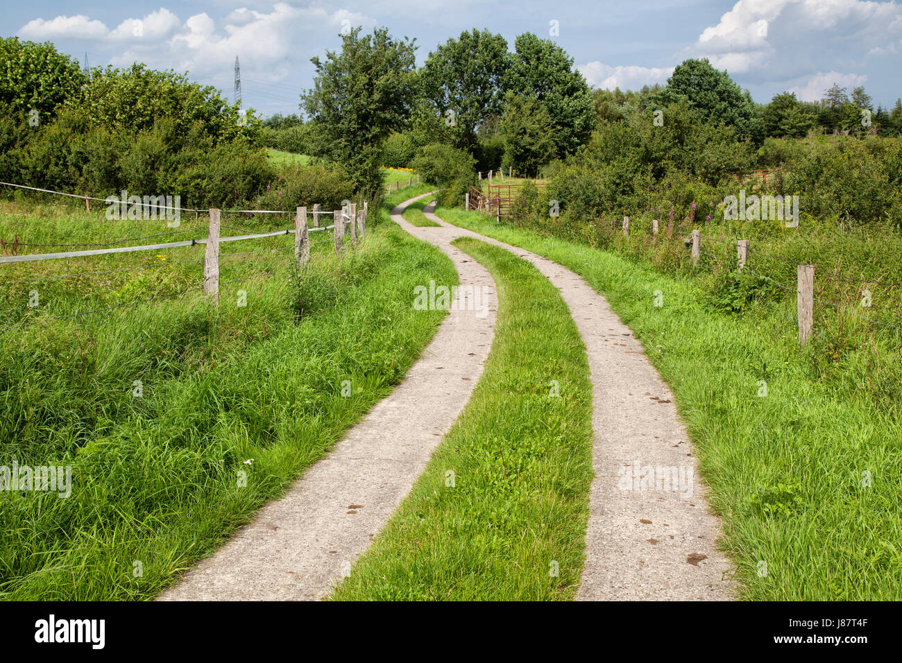dirt road, path, way, scenery, countryside, nature, green, dirt road ...