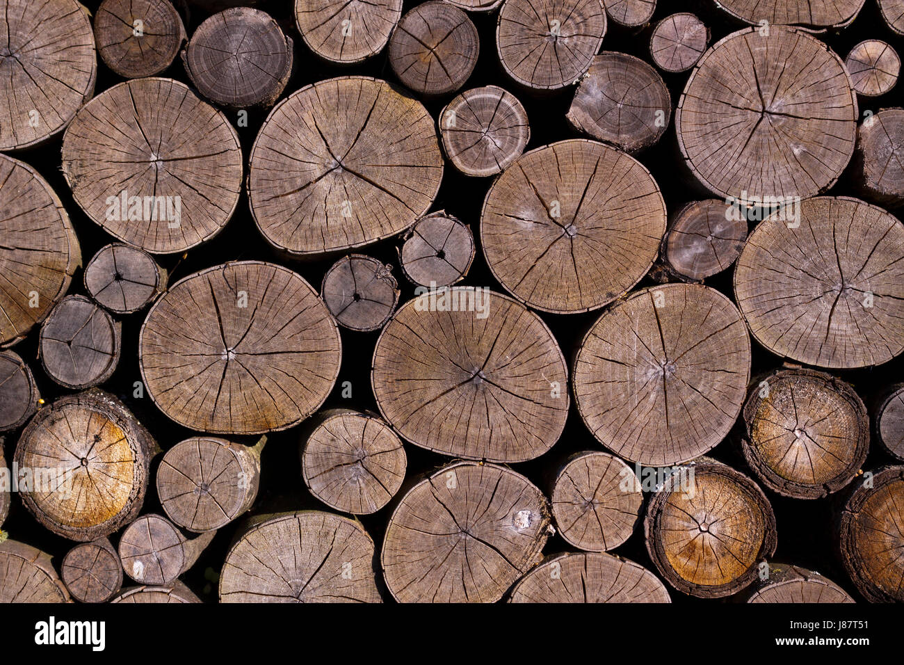 Wooden cut texture Stock Photo - Alamy
