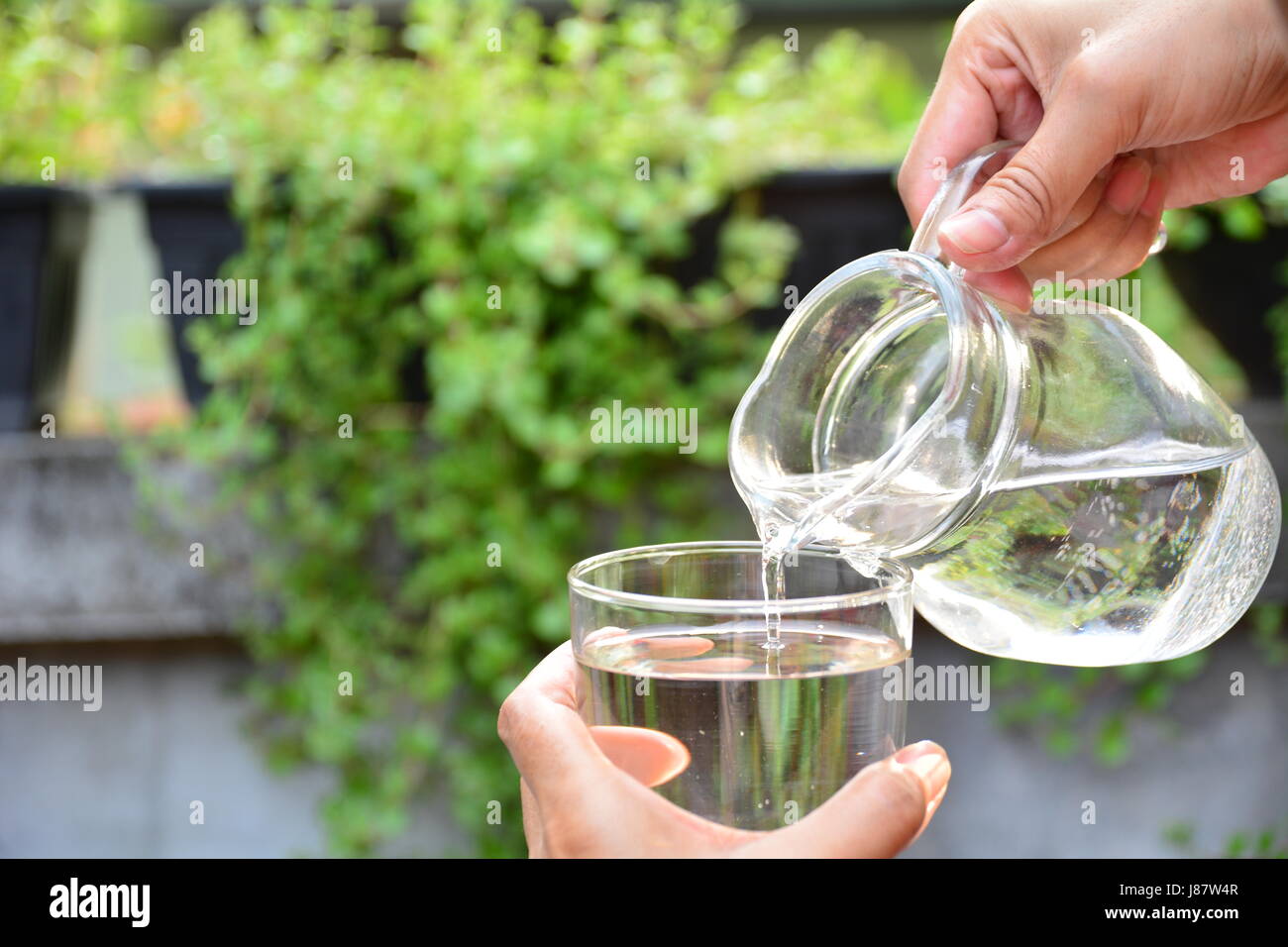 Pouring water from jug into glass on nature background Stock Photo - Alamy