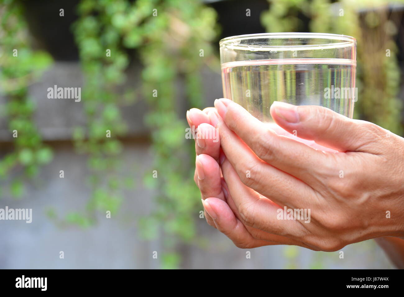 hands hold the glass and water in glass on nature background Stock ...