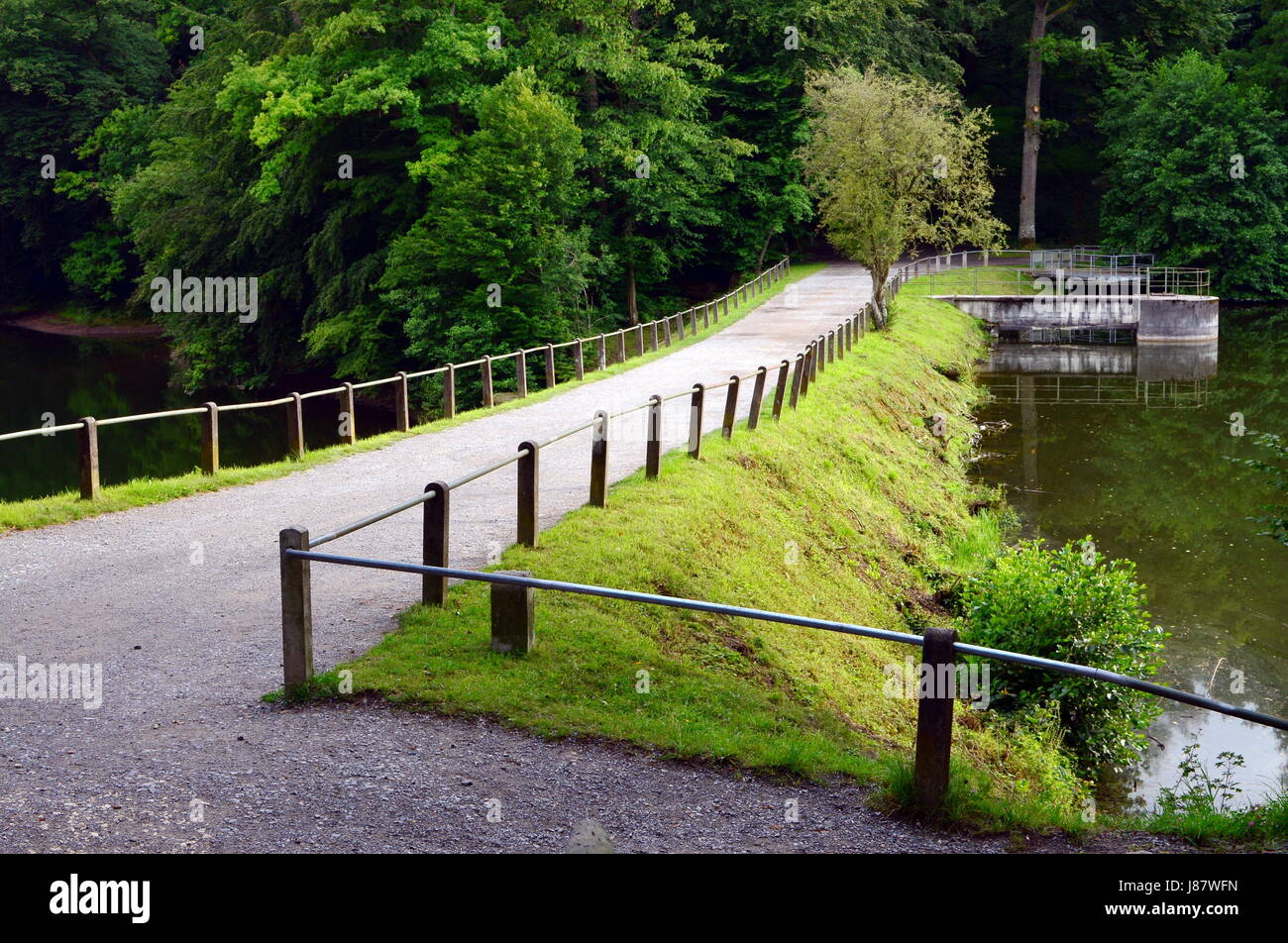 dam, railing, embankment, path, way, forest, dam, railing, embankment ...