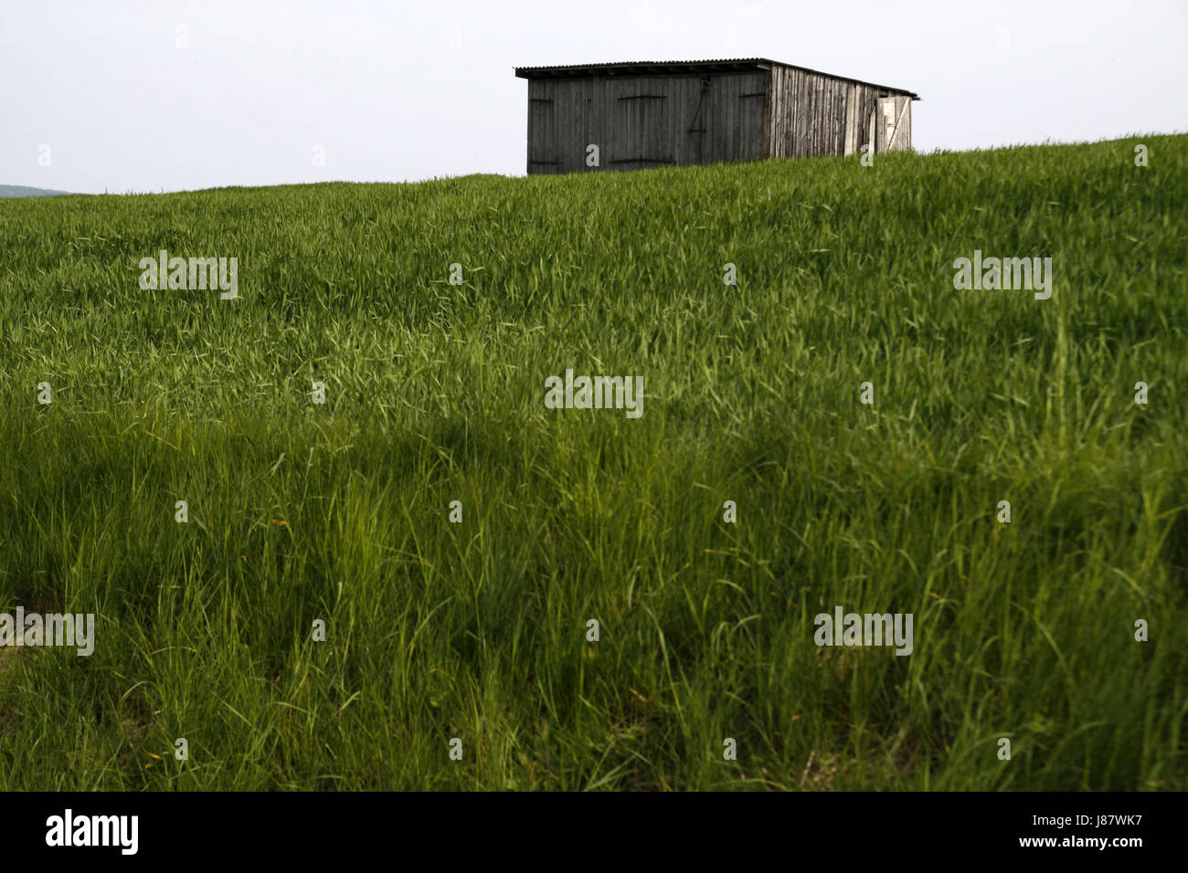 hovel, stable, dugout, cattle shed, meadow, stall, lodge, hut, willow ...