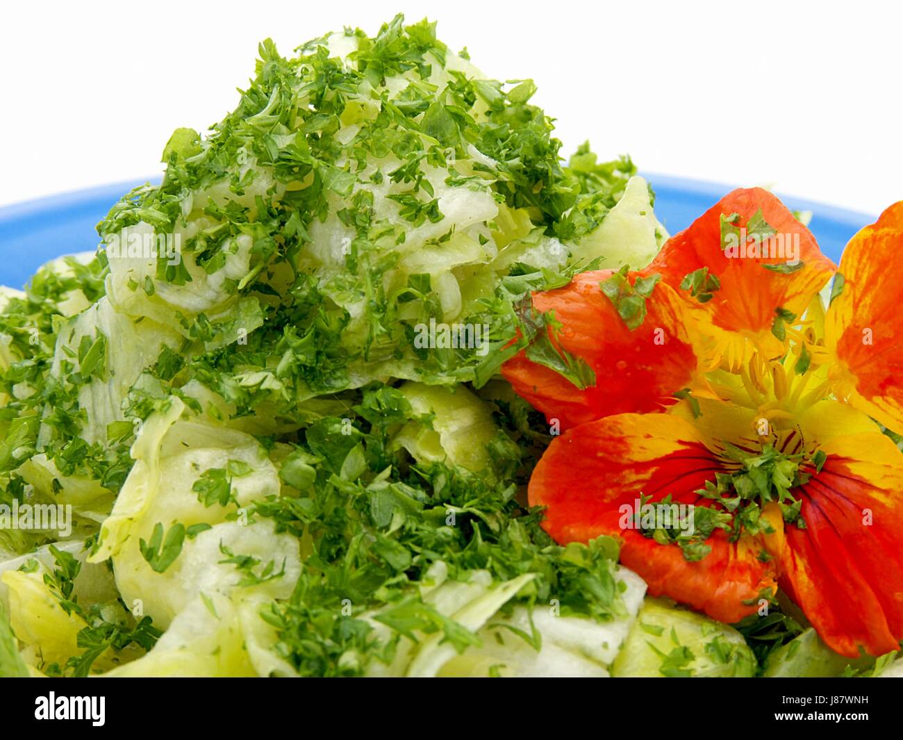 gourmet, appetite, food, dish, meal, supper, dinner, appetizer, eating ...