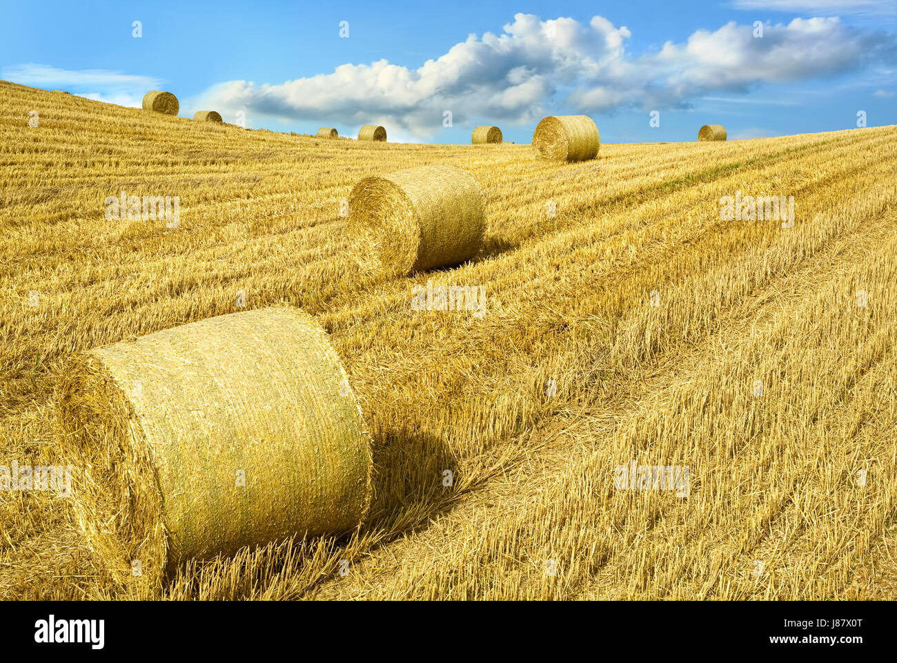 agriculture, farming, field, acre, straw, land, realty, ground, scenery ...