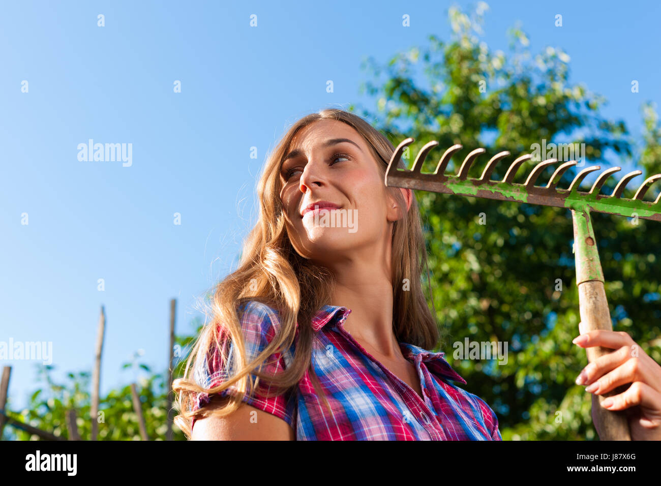 woman, garden, summer, summerly, gardener, gardening, gardens, rake ...