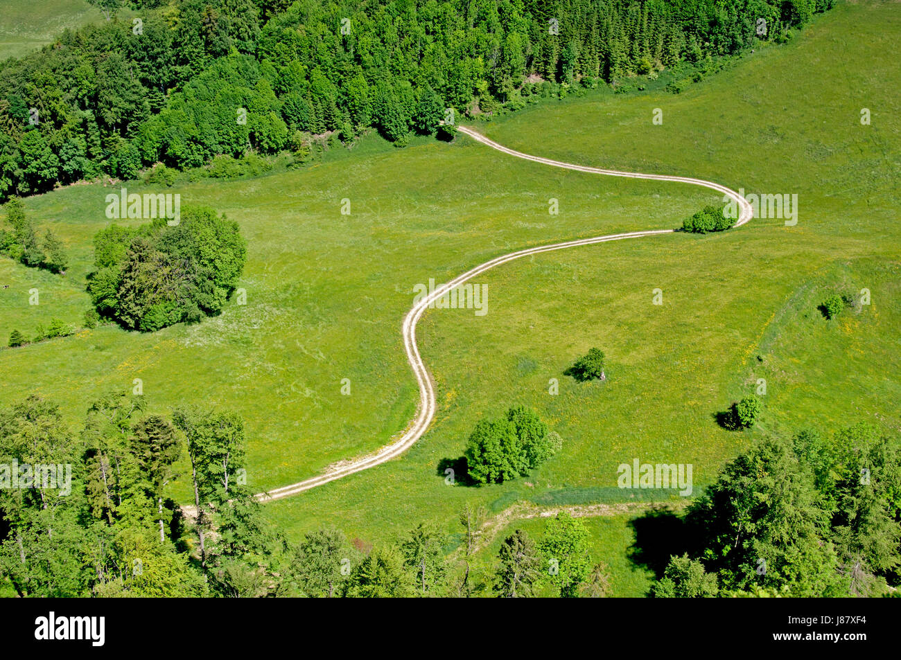 aerial perspective, dirt road, field, walk, go for a walk, path, way ...