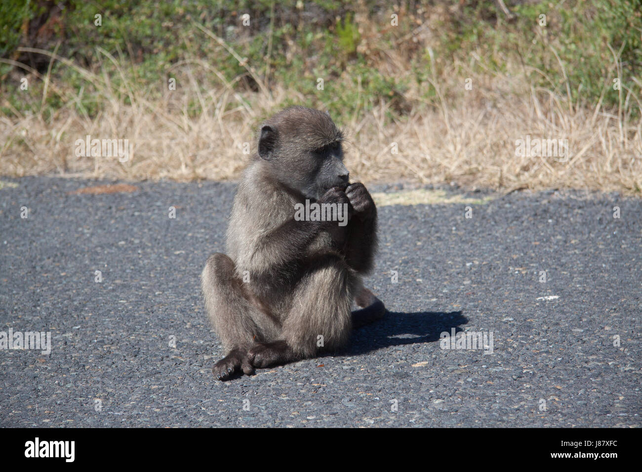Kaproute hi-res stock photography and images - Alamy