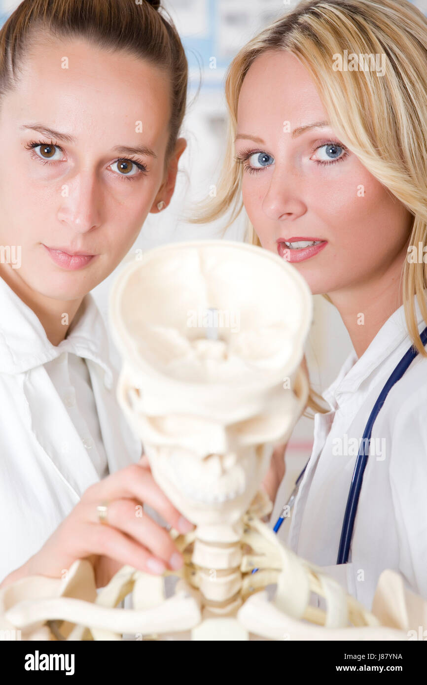 woman, women, science, portrait, skeleton, teamwork, students, doctors ...
