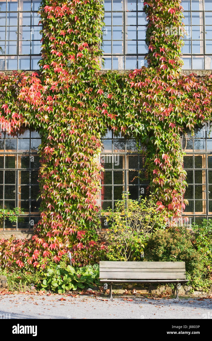 house, building, shine, shines, bright, lucent, light, serene, luminous ...