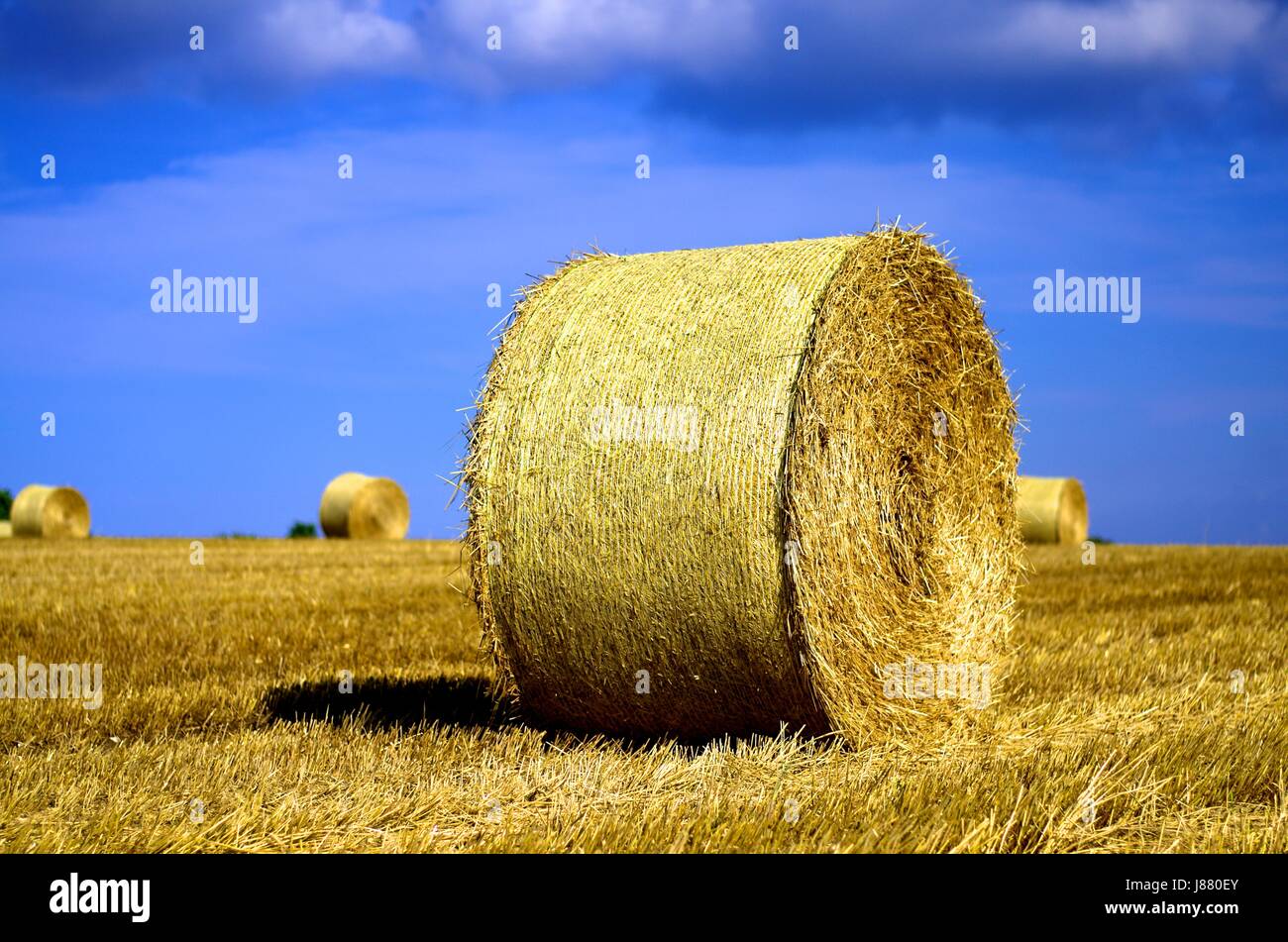 blue, straw, blue, agricultural, colour, agriculture, farming, cloud ...