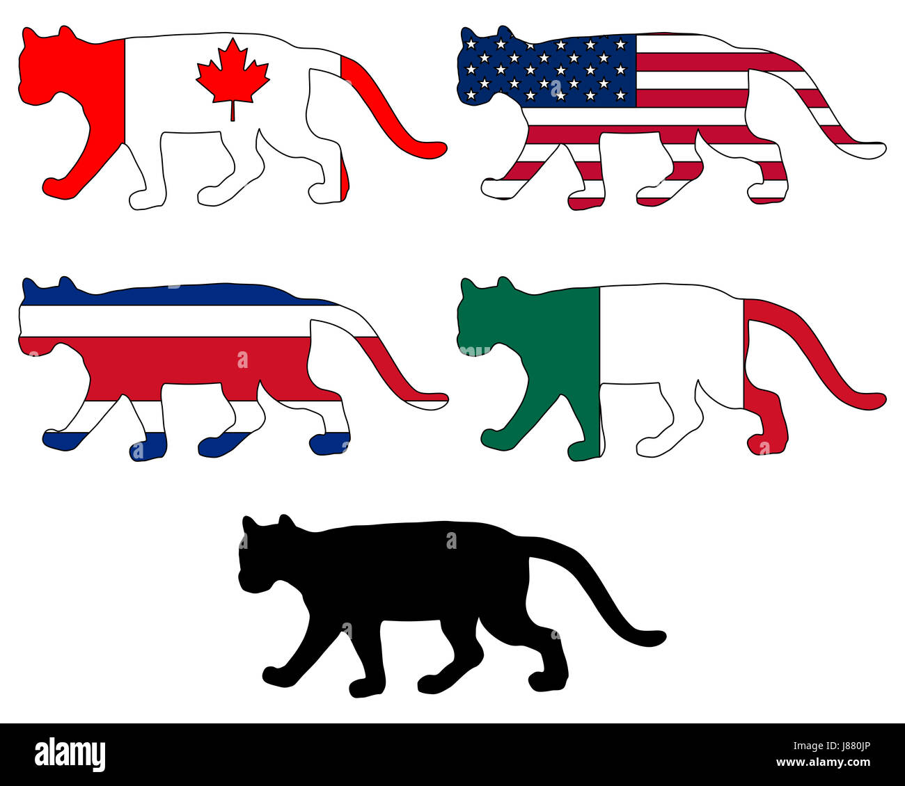 sign, signal, blue, optional, colour, animal, green, big cat, feline ...