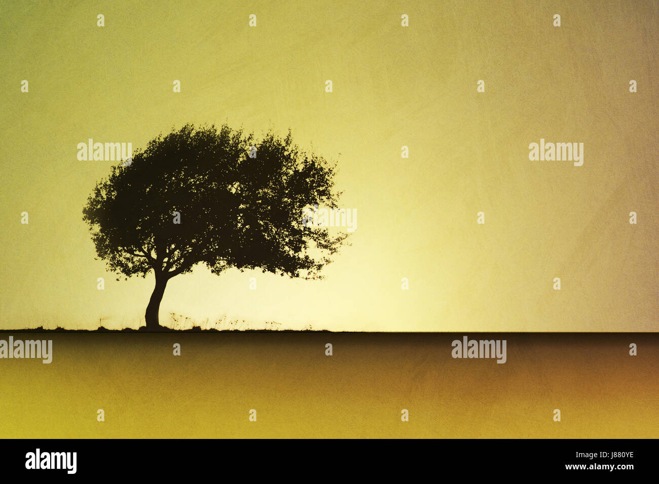 tree, single, tree, horizon, field, illustration, country, pasture ...