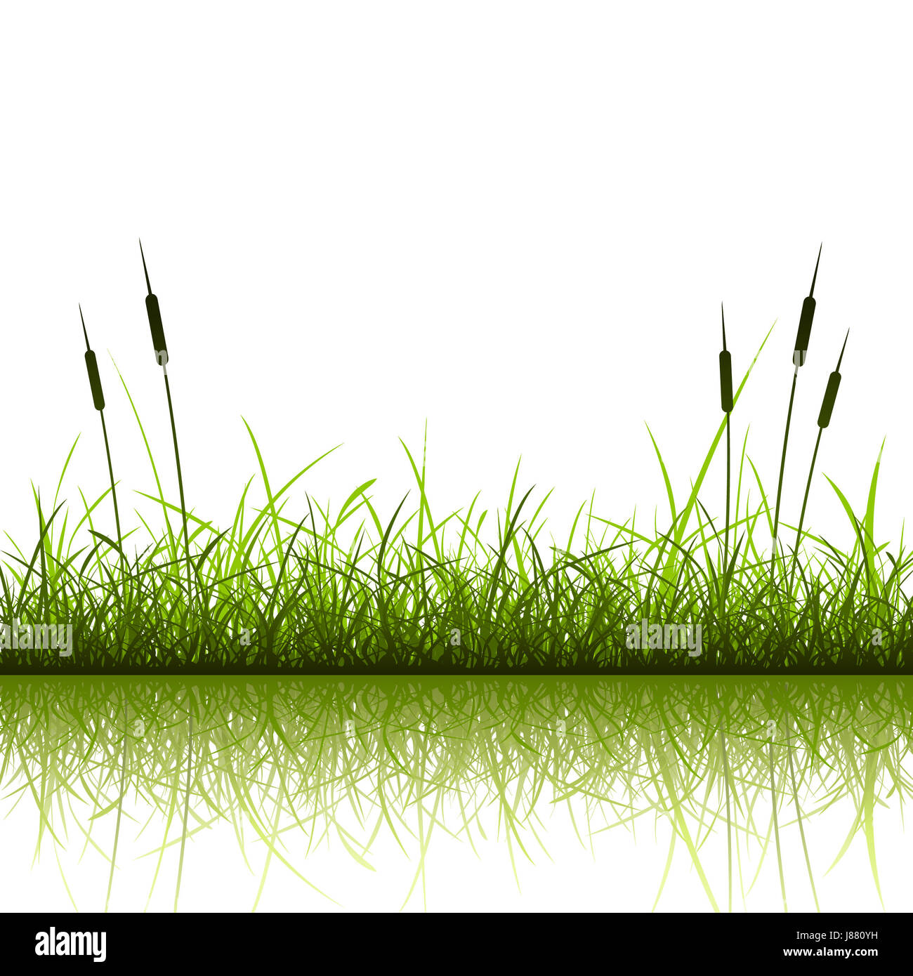 reeds, plant, reflection, illustration, vector, simple, reeds, scenery ...