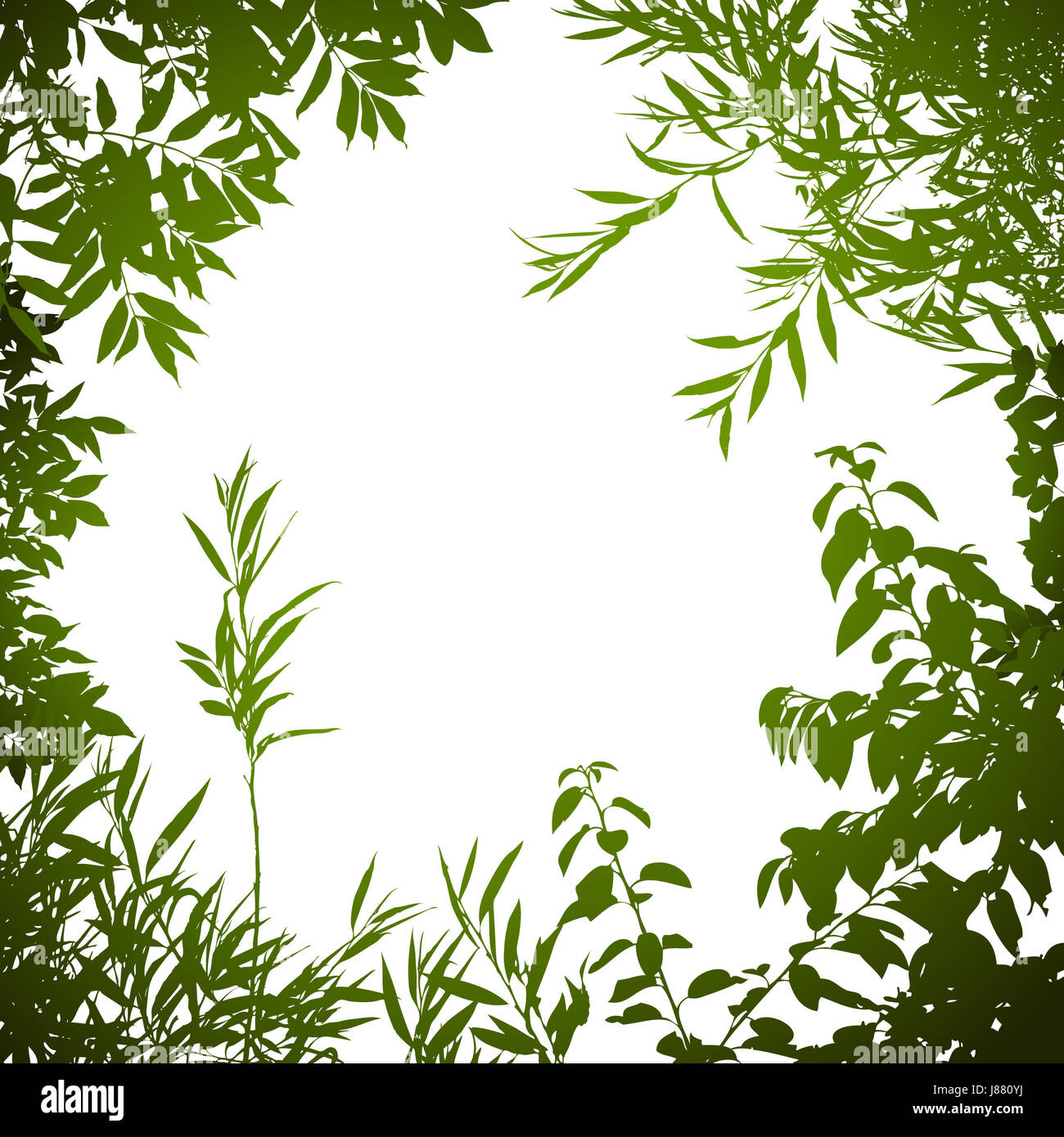 Tree Silhouette Border