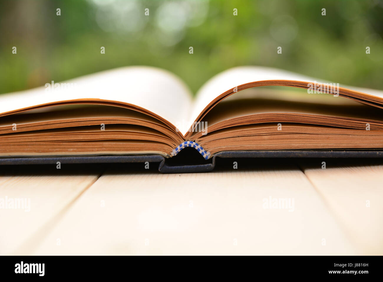 Open old book on wooden table and nature background Stock Photo - Alamy