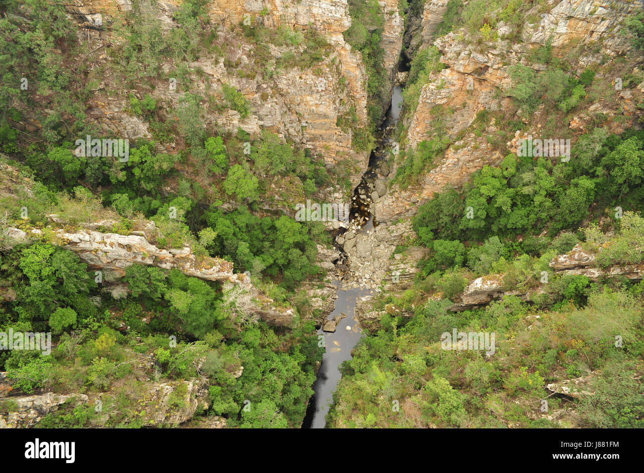 plant, depth, depths, ravine, south africa, backdrop, background, water ...