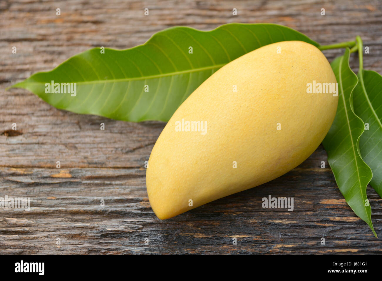 Mango with leaf hi-res stock photography and images - Alamy