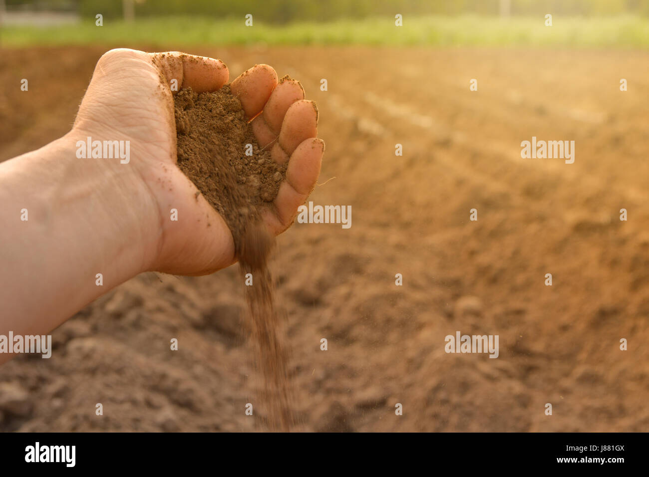 Soil in hand cultivated dirt. earth or ground with nature background ...