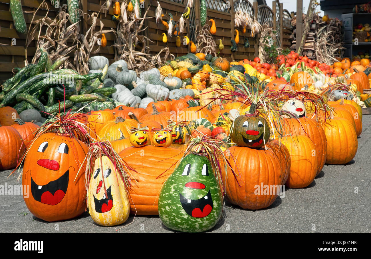 vegetable, halloween, farm, pumpkin, harvest, fall, autumn, face ...