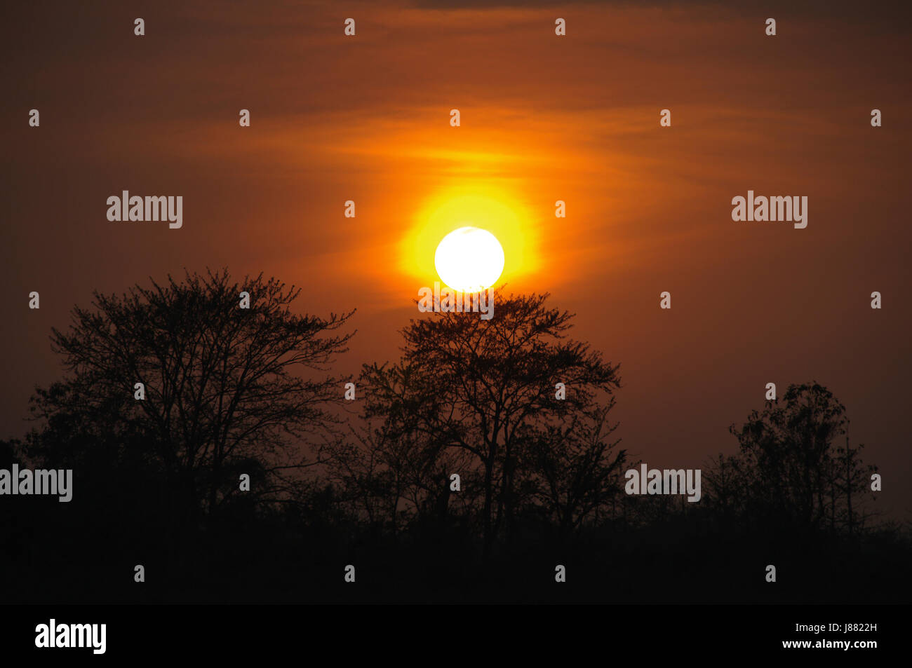 park, asia, sunset, nepal, national, shine, shines, bright, lucent ...