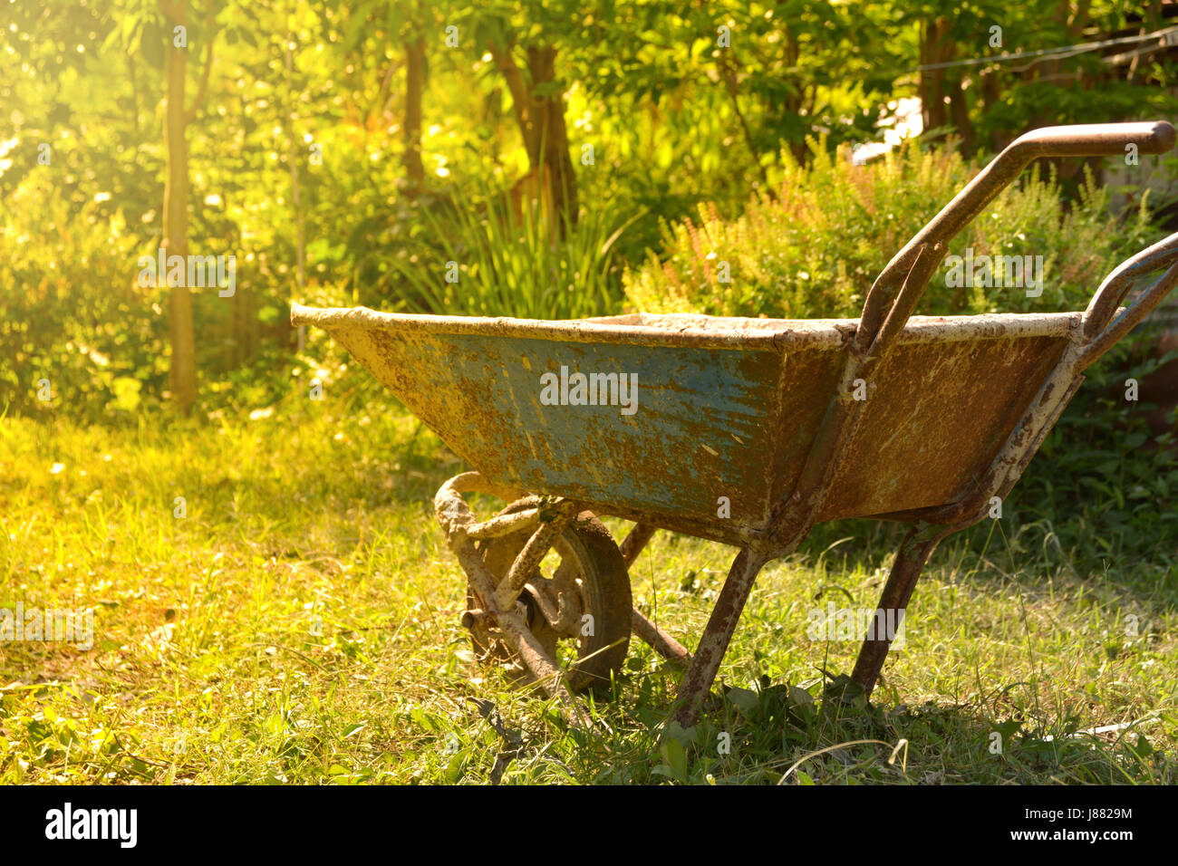 The old rusty cement cart, Cart mortar on nature background Stock Photo ...