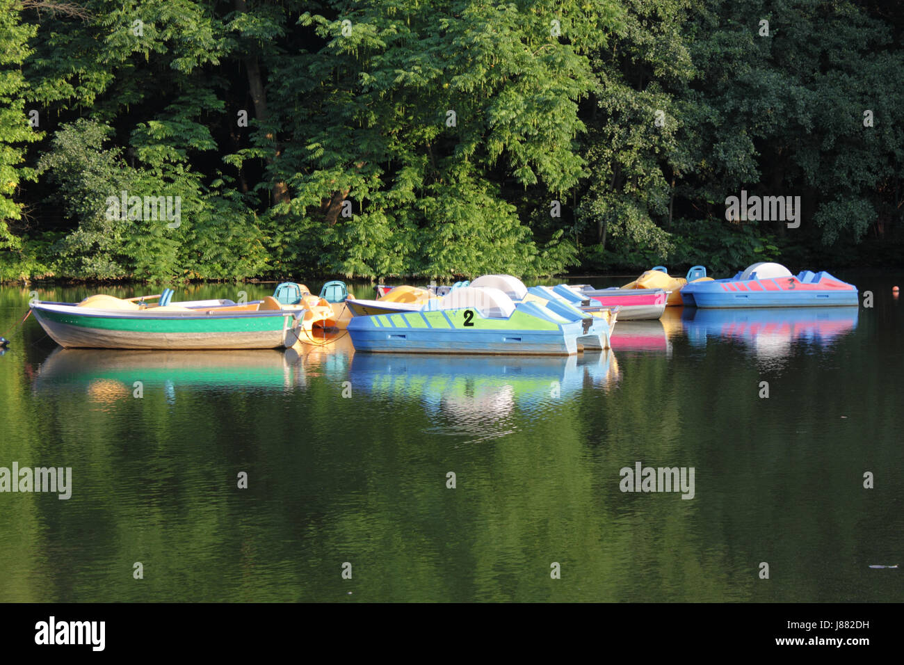 Peddle boats in westfalen park hi-res stock photography and images - Alamy