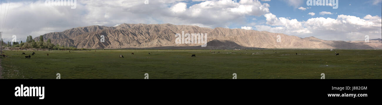 sight, view, outlook, perspective, vista, panorama, lookout, mountains ...