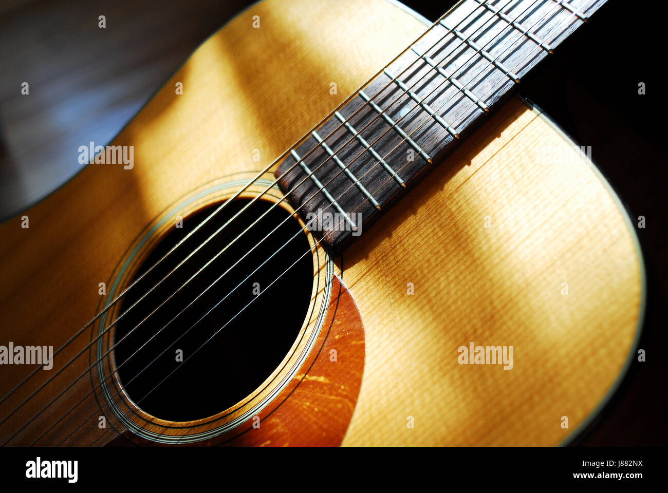 humans, human beings, people, folk, persons, human, human being, music ...