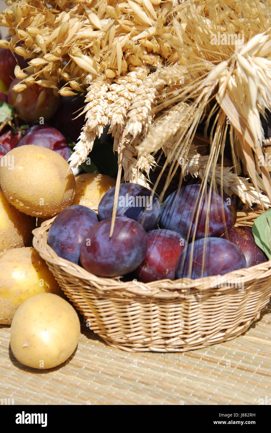 potato harvest plum harvest oats Stock Photo - Alamy