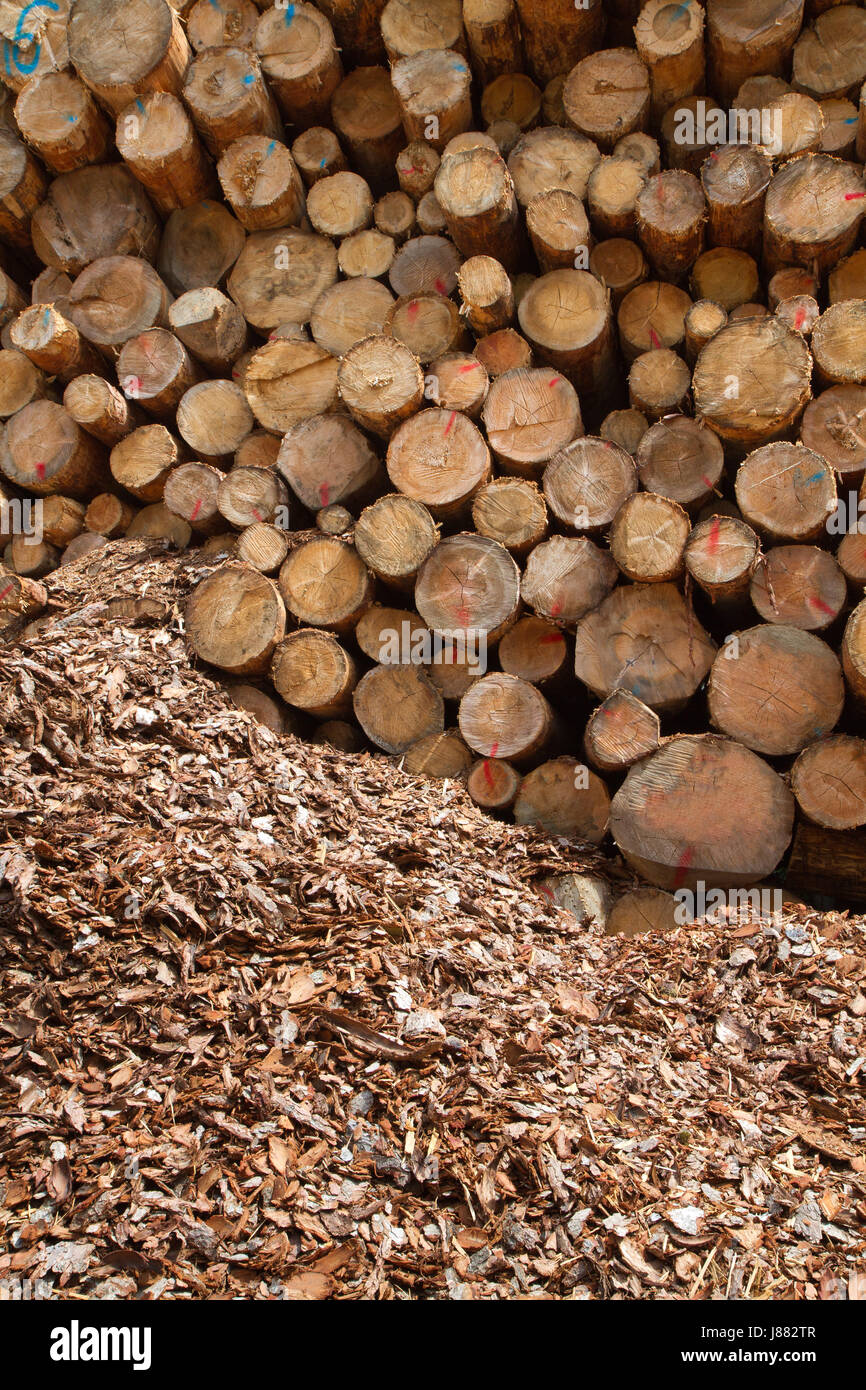logs ready for transport Stock Photo - Alamy logs ready for transport Stock Photo - Alamy