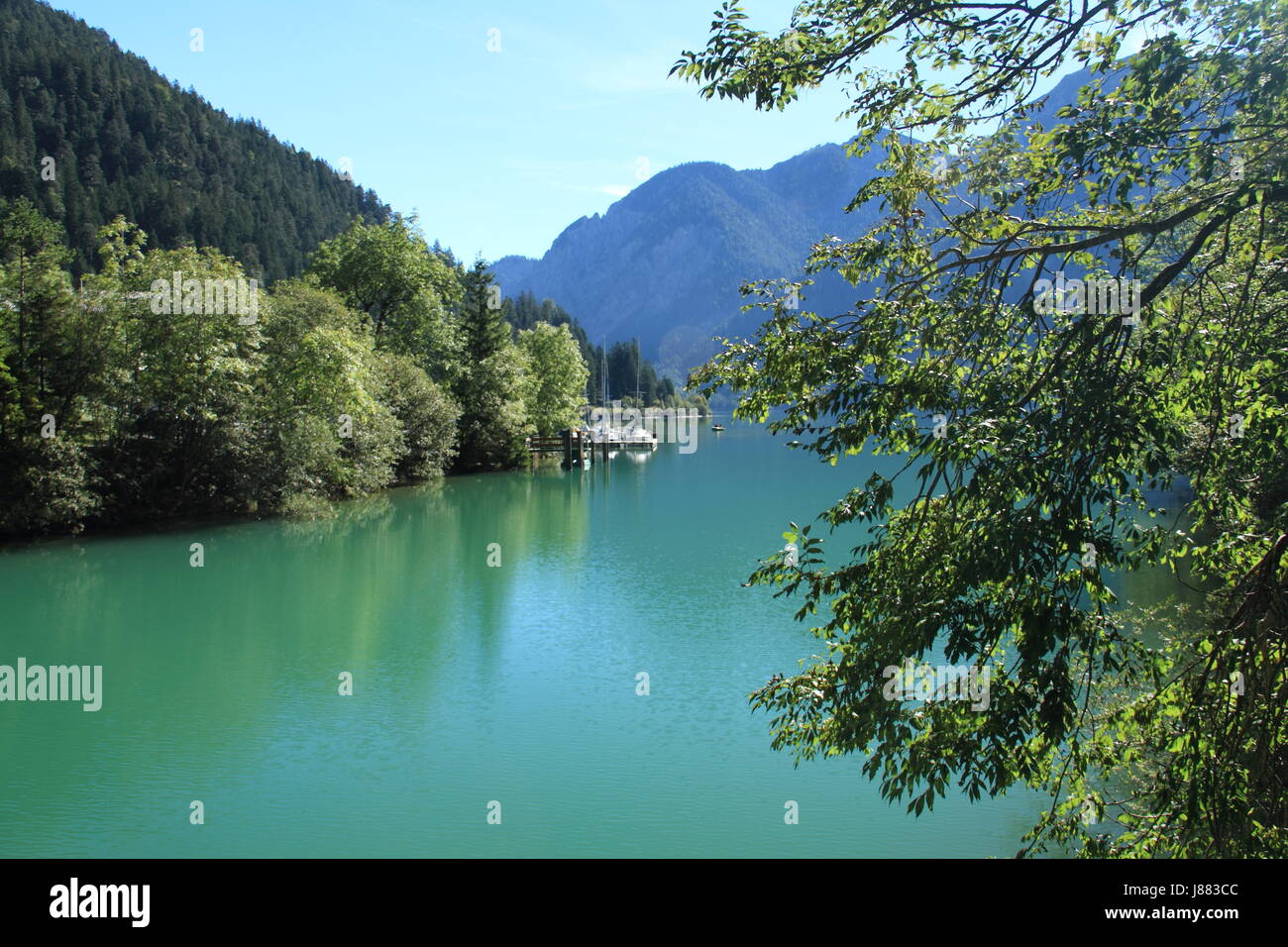 angler on the forggensee Stock Photo - Alamy