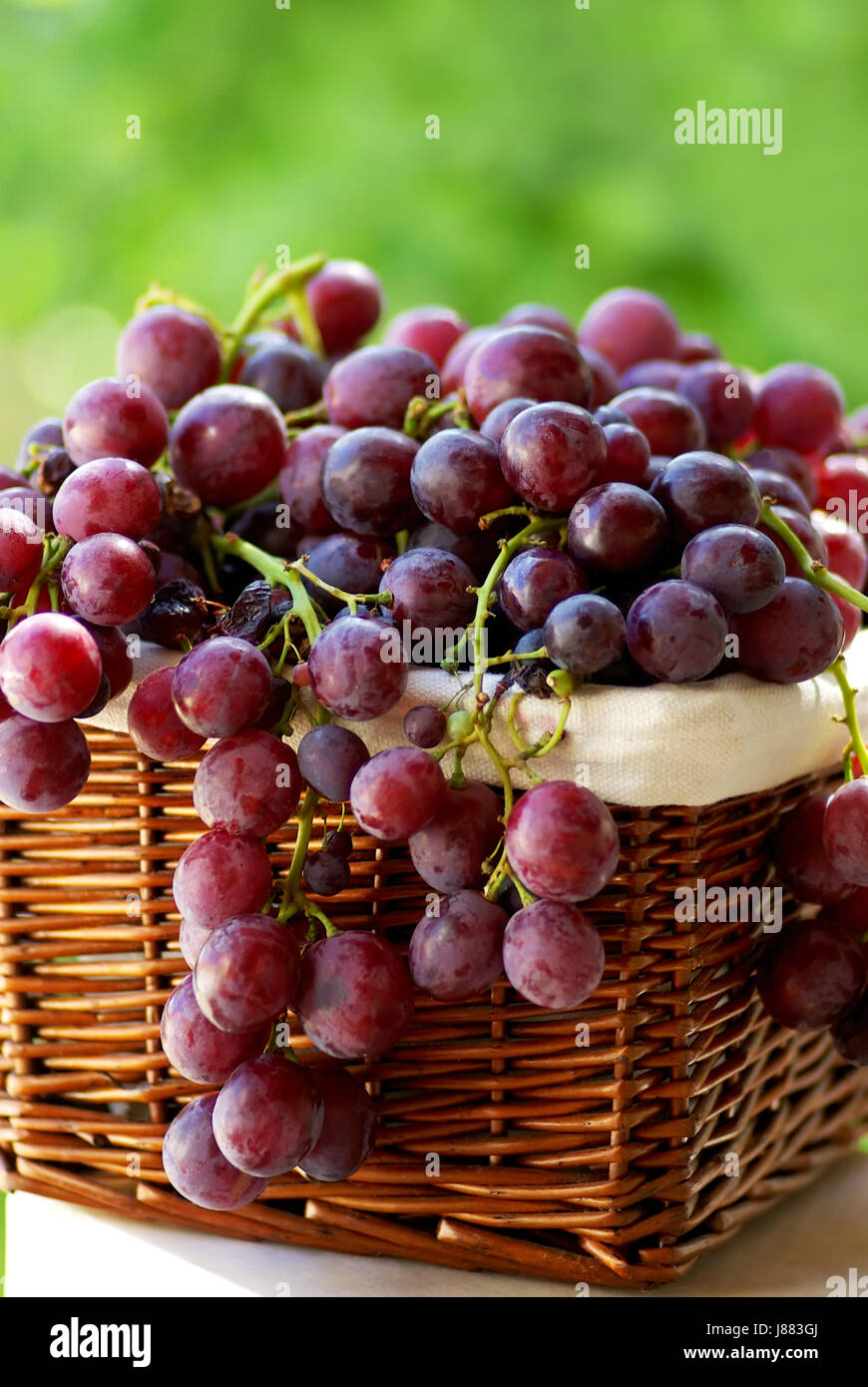 agriculture, farming, grapes, basket, fruit, berry, backdrop ...
