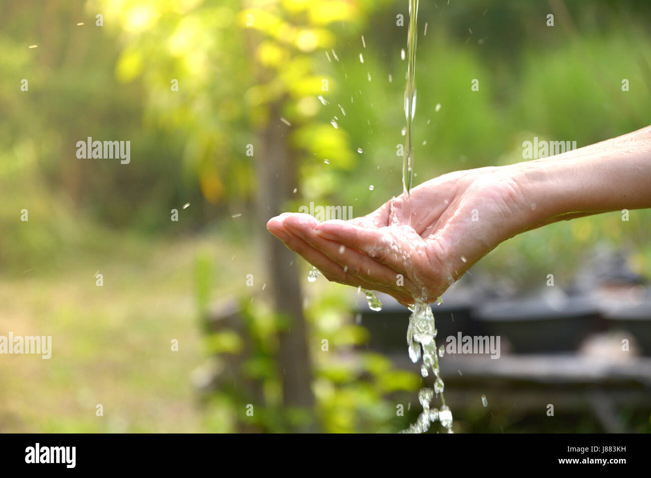 Water pouring in woman hand on nature background Stock Photo - Alamy