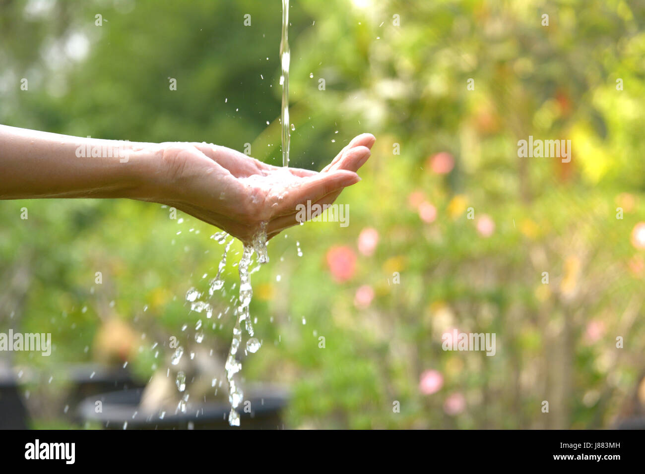 Water pouring in woman hand on nature background Stock Photo - Alamy
