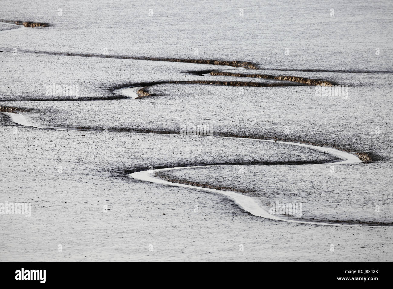 A channel of water through marsh mud at low tide on the North Norfolk ...