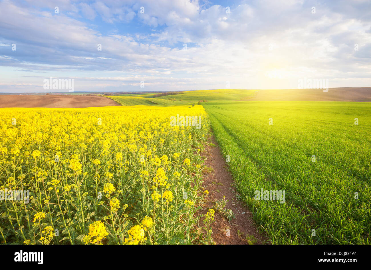 Beautiful sunny landscape Stock Photo - Alamy